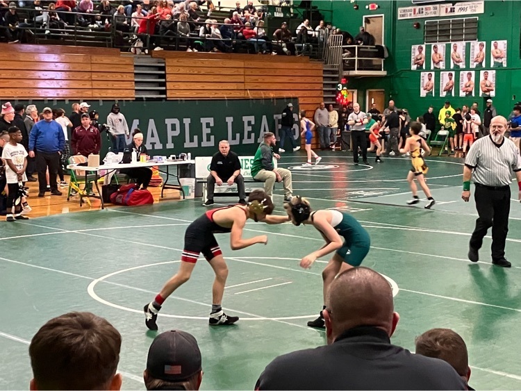 Live Feed | Geneseo CUSD #228